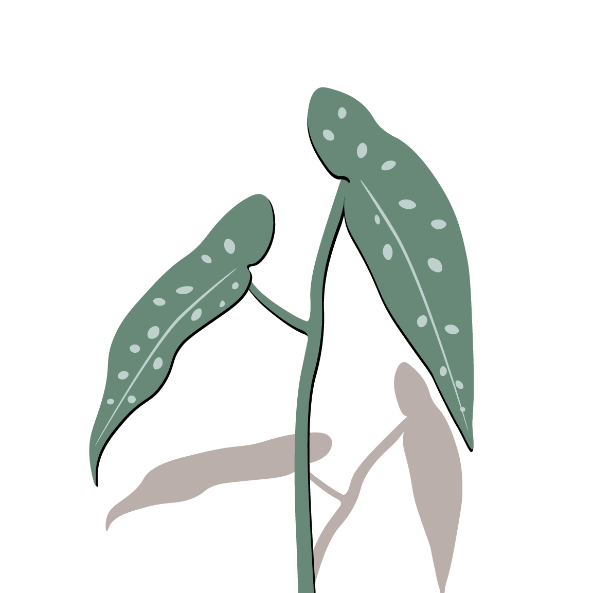 Judith Kaltenbrunner • Designgarten • Portfolio